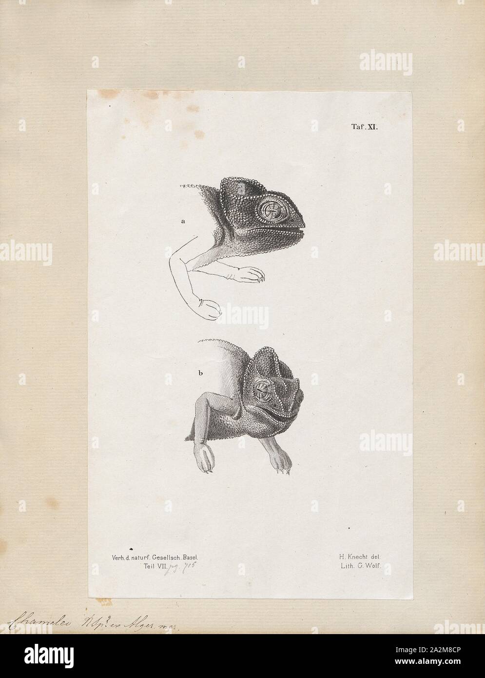 Present of sri lanka hi-res stock photography and images - Alamy