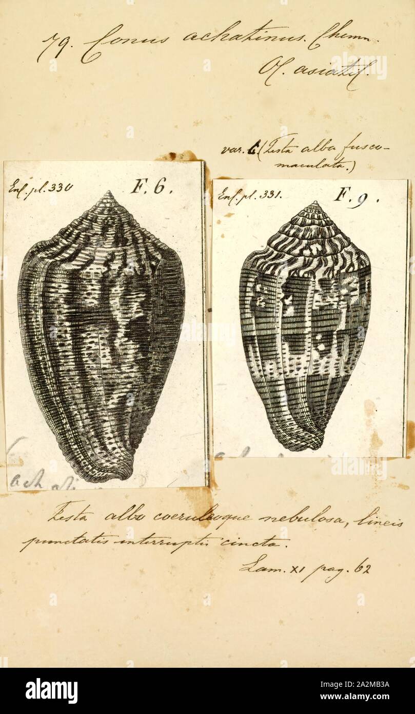 Agate cone hi-res stock photography and images - Alamy