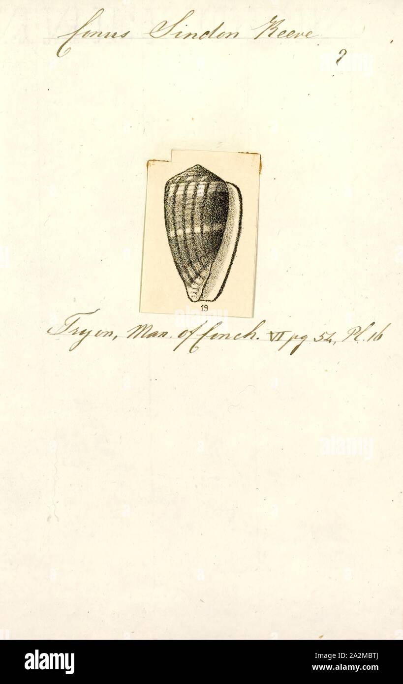 Sindon hi-res stock photography and images - Alamy