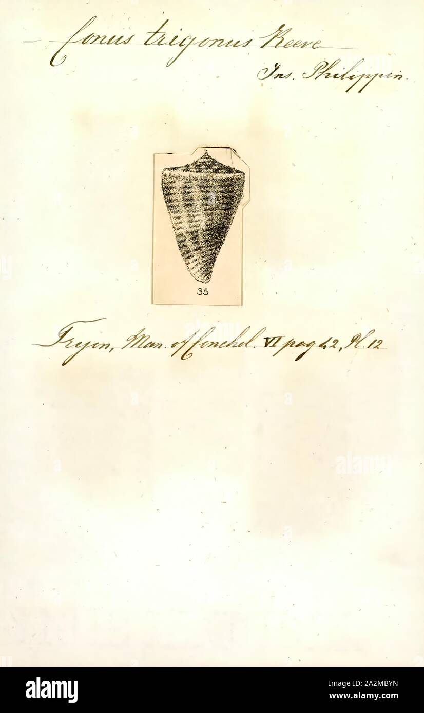 Trigonal cone hi-res stock photography and images - Alamy