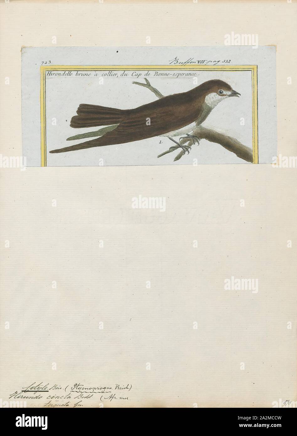 Cotile hi-res stock photography and images - Alamy