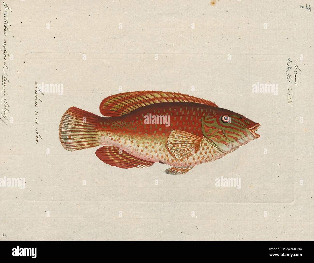 From 1 to 30 hi-res stock photography and images - Alamy