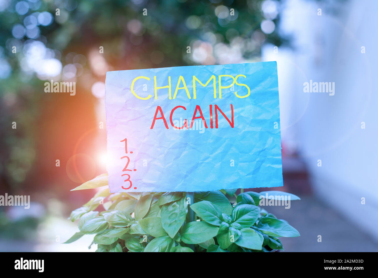 Conceptual hand writing showing Champs Again. Concept meaning refers to ...