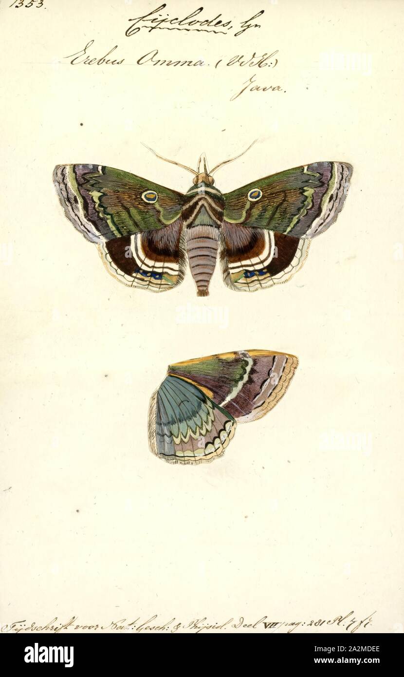 Cyclodes hi-res stock photography and images - Alamy