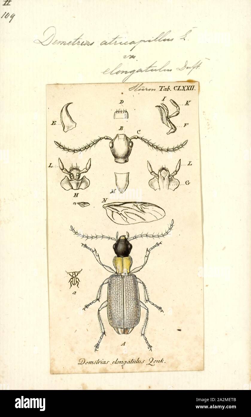 Demetrias hi-res stock photography and images - Alamy