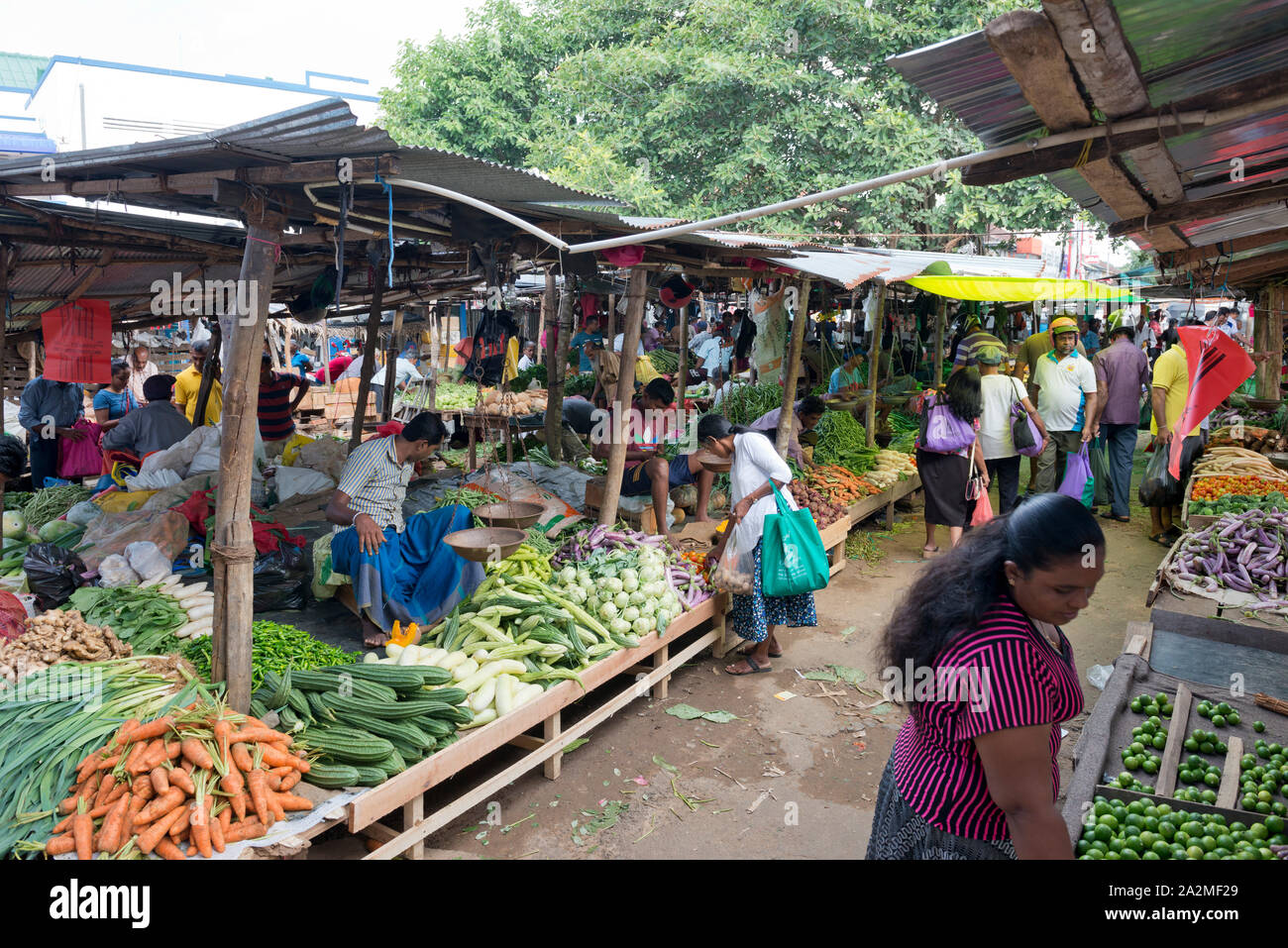 Sri Lanka, Southern Province, Sud du Sri Lanka, Süd Sri Lanka, South ...