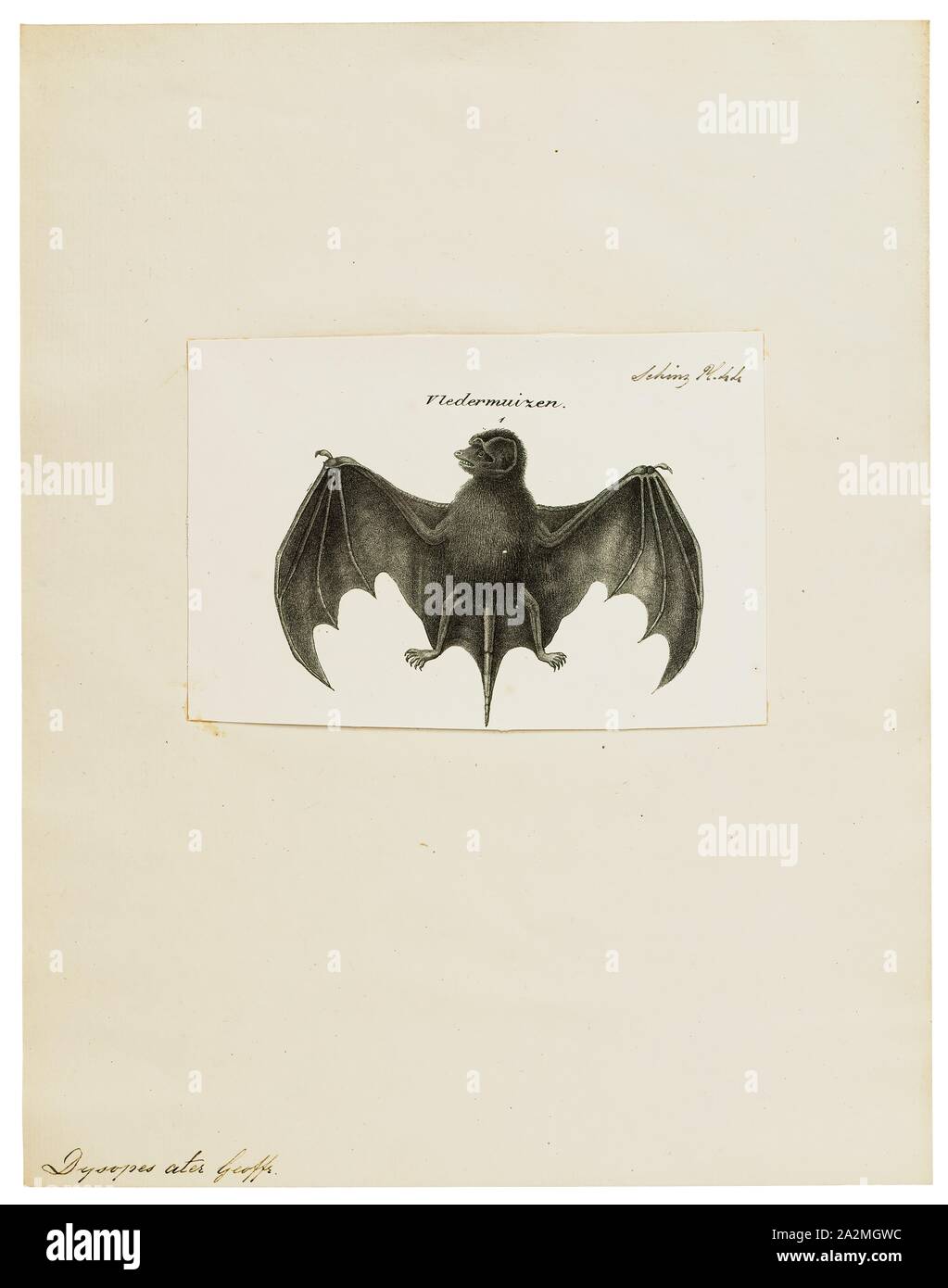 Ater Cut Out Stock Images & Pictures - Alamy