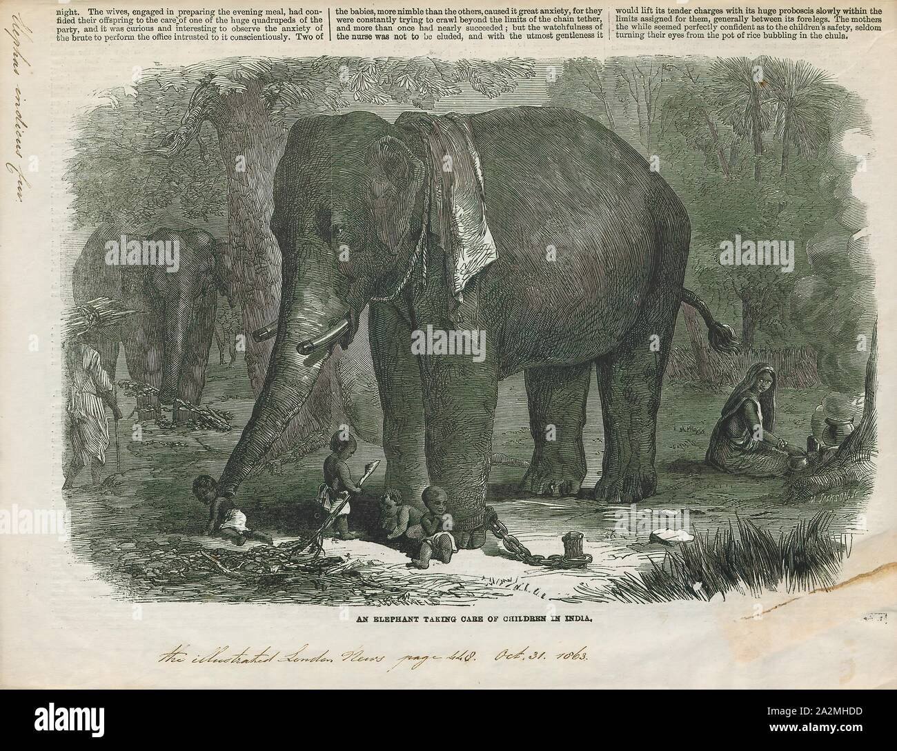 Elephas indicus, Print, Elephas is one of two surviving genera in the ...