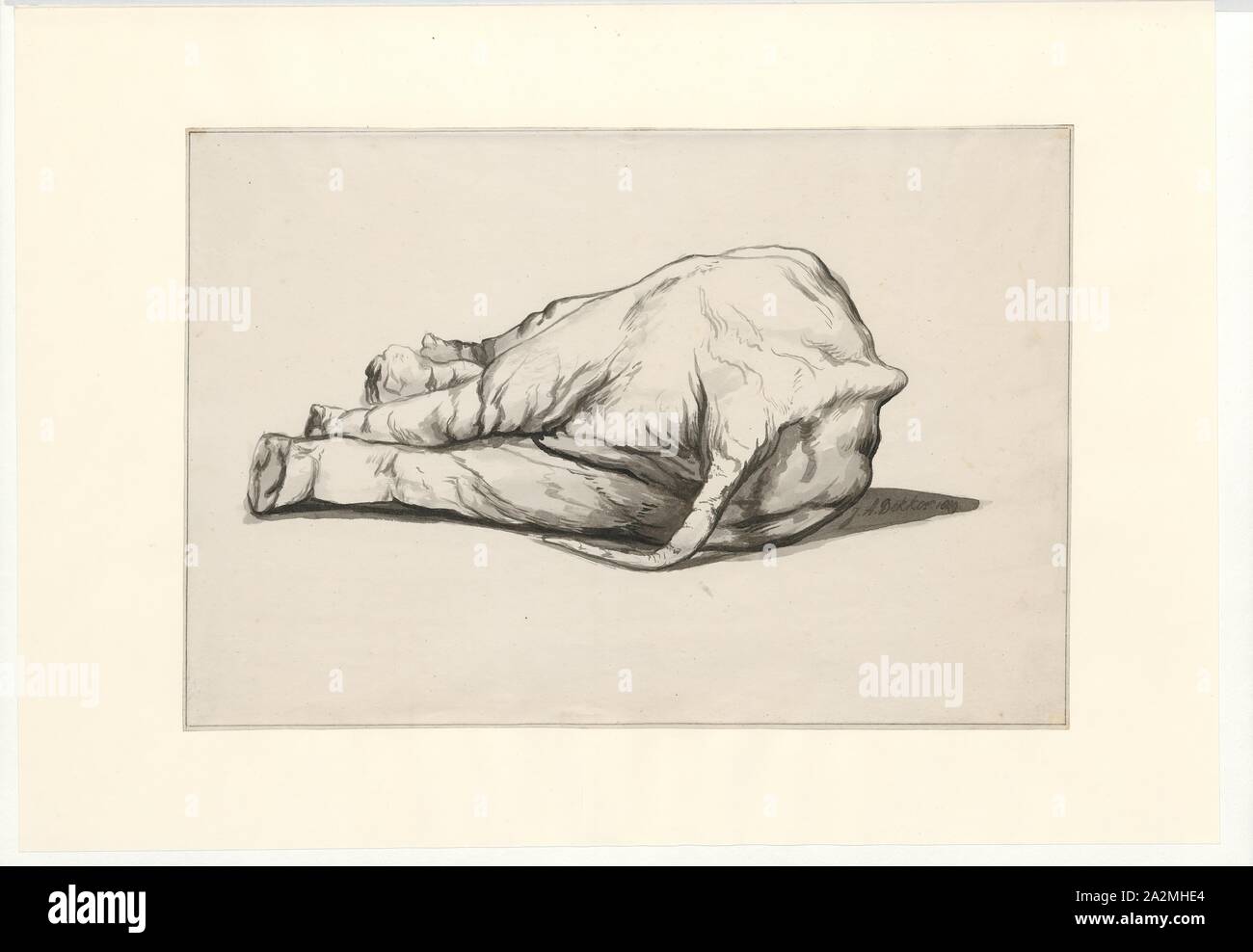 E m indicus hi-res stock photography and images - Alamy