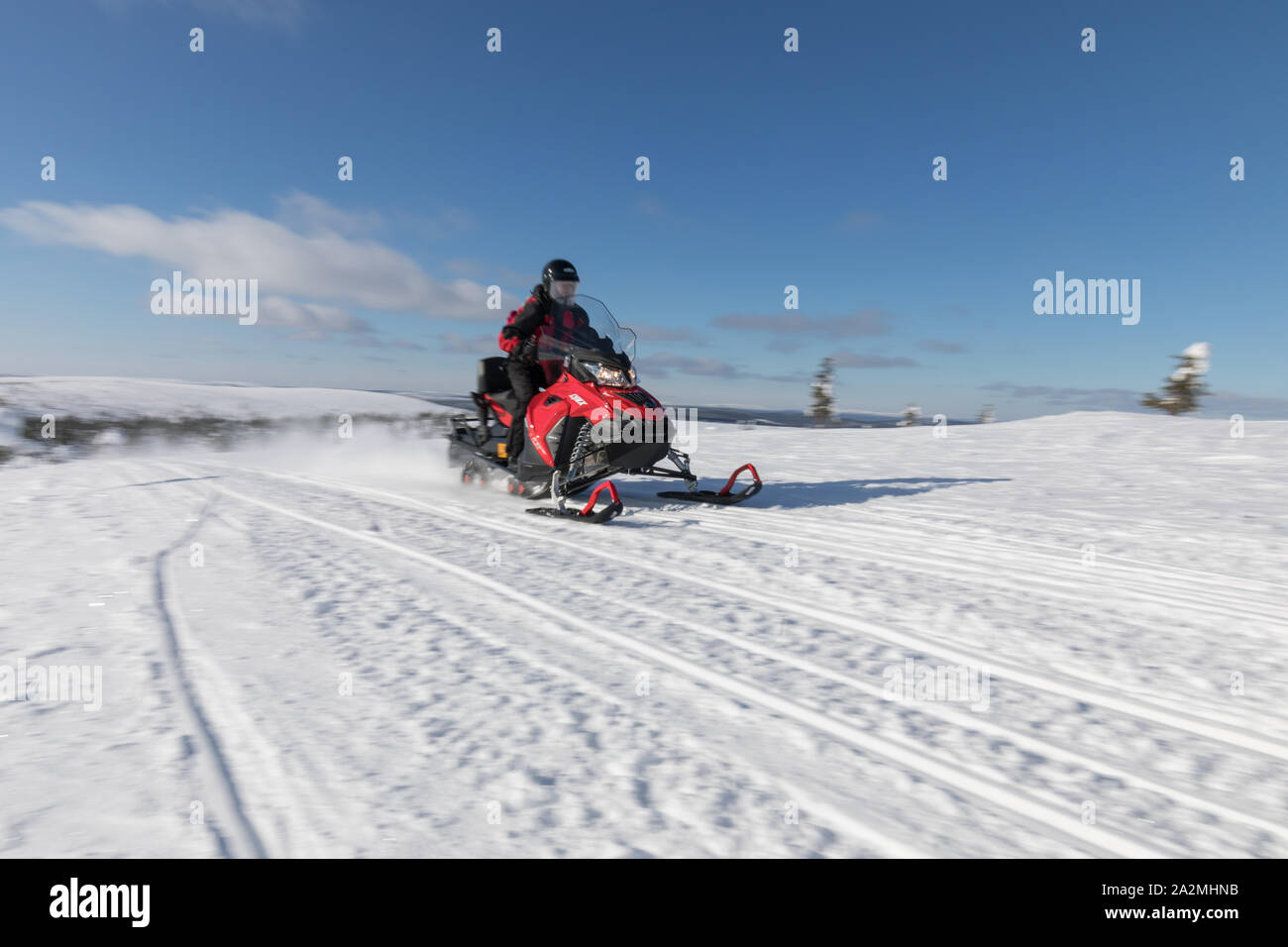 Woman driving snowmobile at arctic winter wonderland Lapland Stock ...