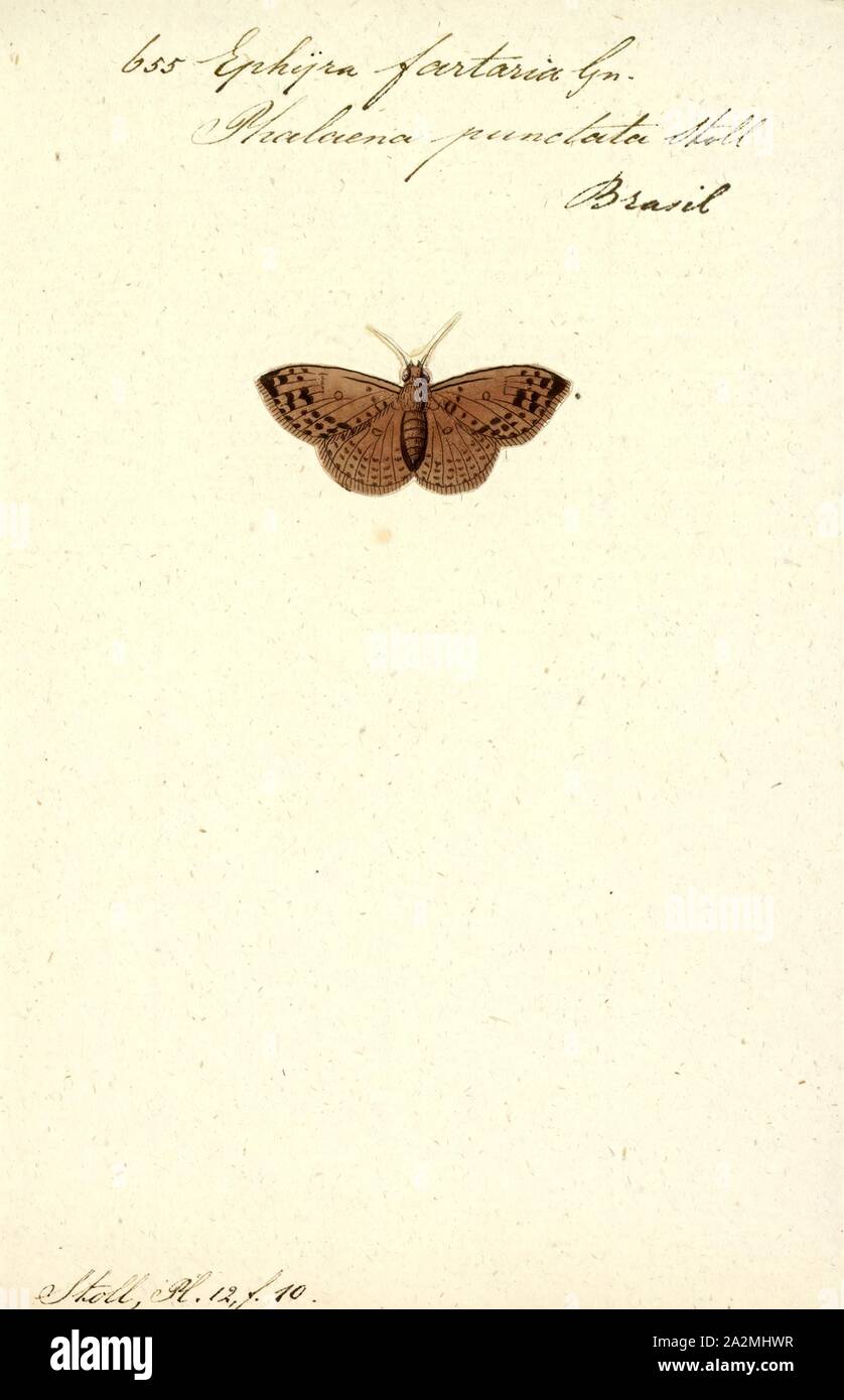 Ephyra hi-res stock photography and images - Alamy