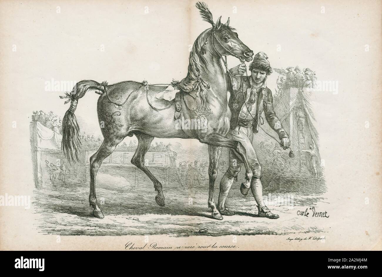 Equus caballus, Print, The horse (Equus ferus caballus) is one of two ...