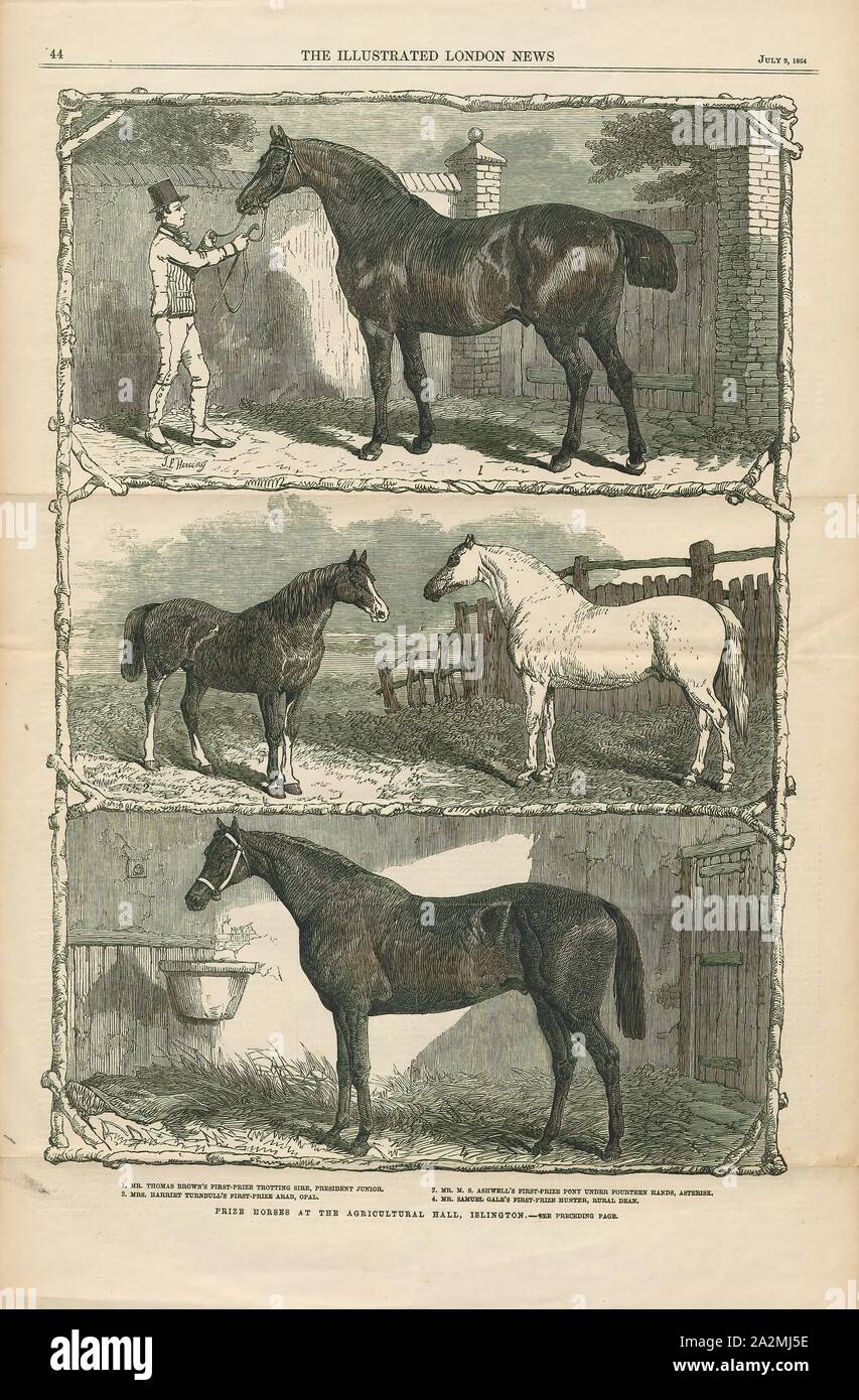 Specialized vocabulary hi-res stock photography and images - Alamy