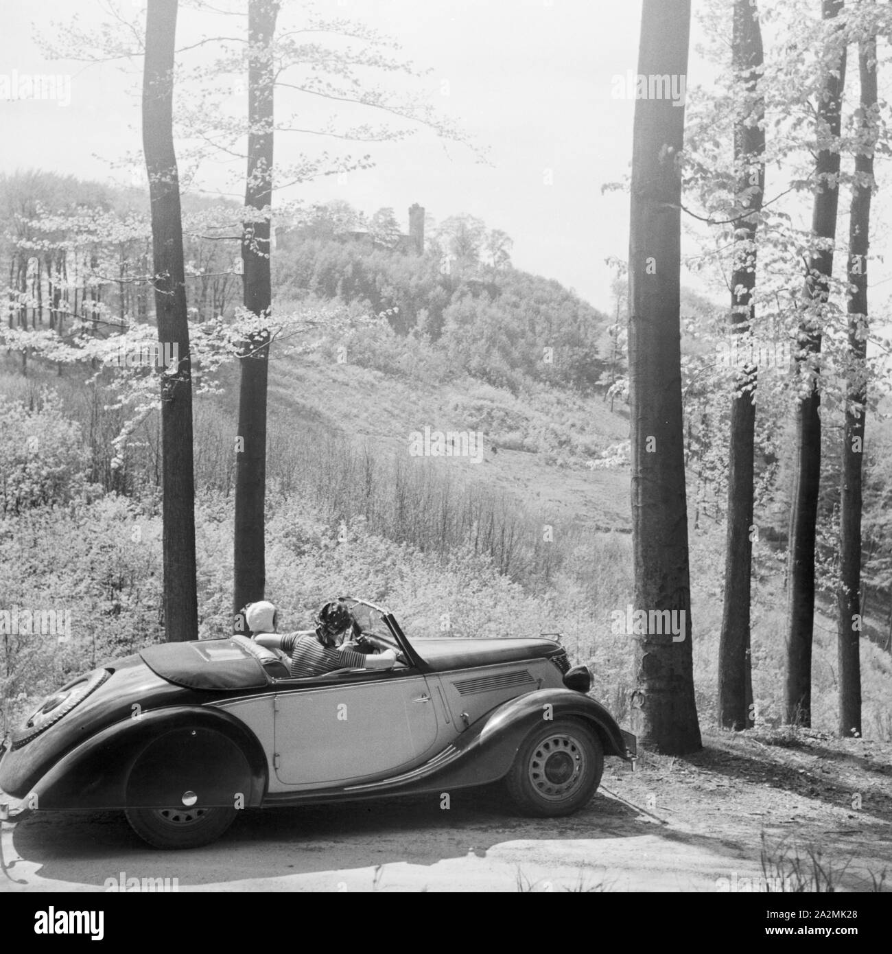 Germany odenwald forest in Black and White Stock Photos & Images - Alamy
