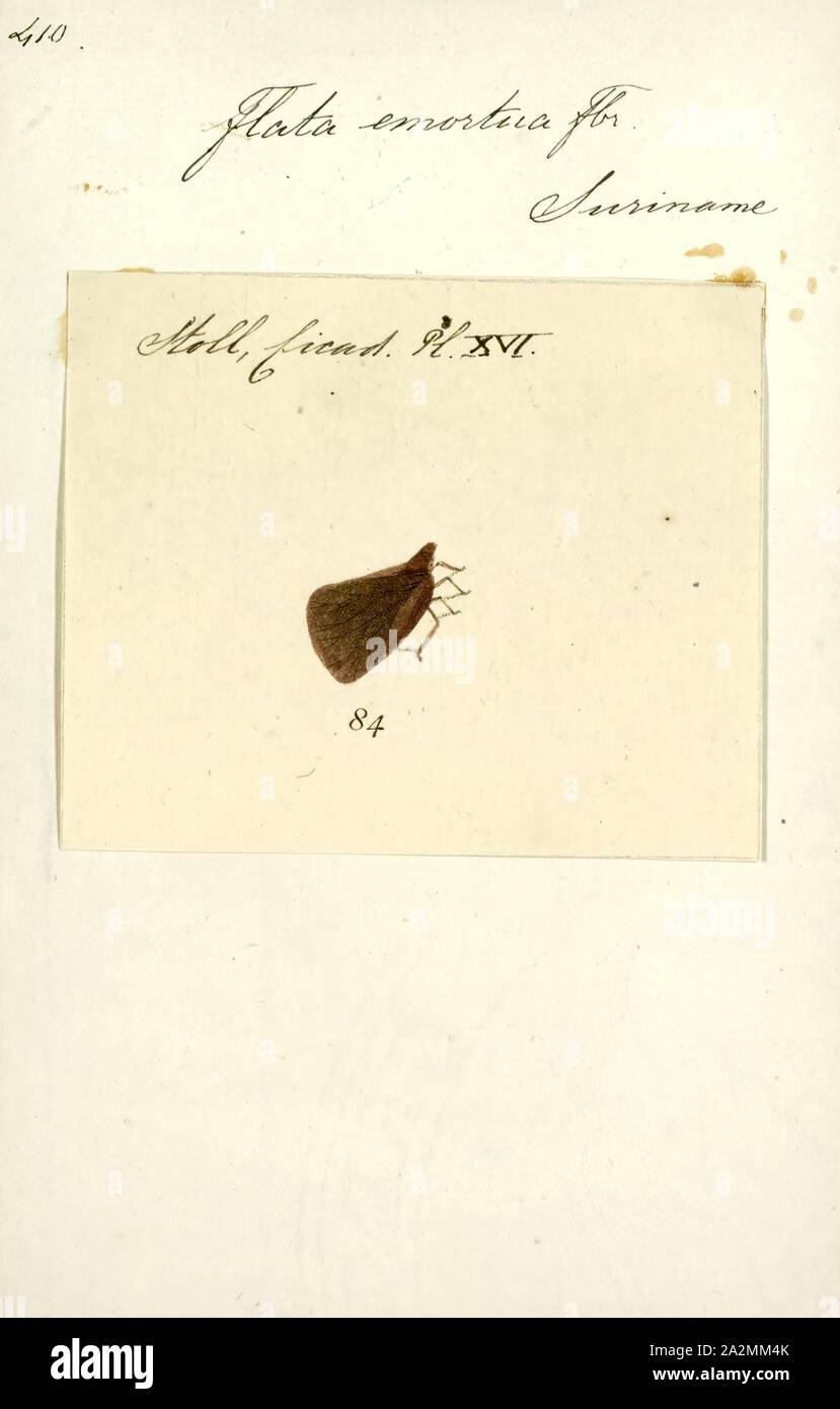 Flata hi-res stock photography and images - Alamy