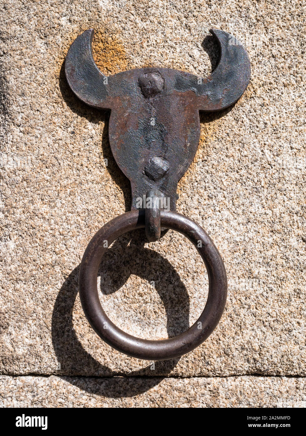 Bull head shaped horse tie ring made of iron on a granite wall Stock ...