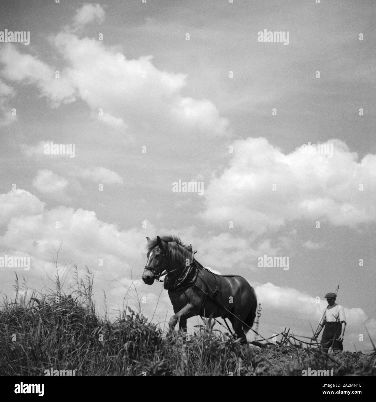 Farmer in fields Black and White Stock Photos & Images - Alamy