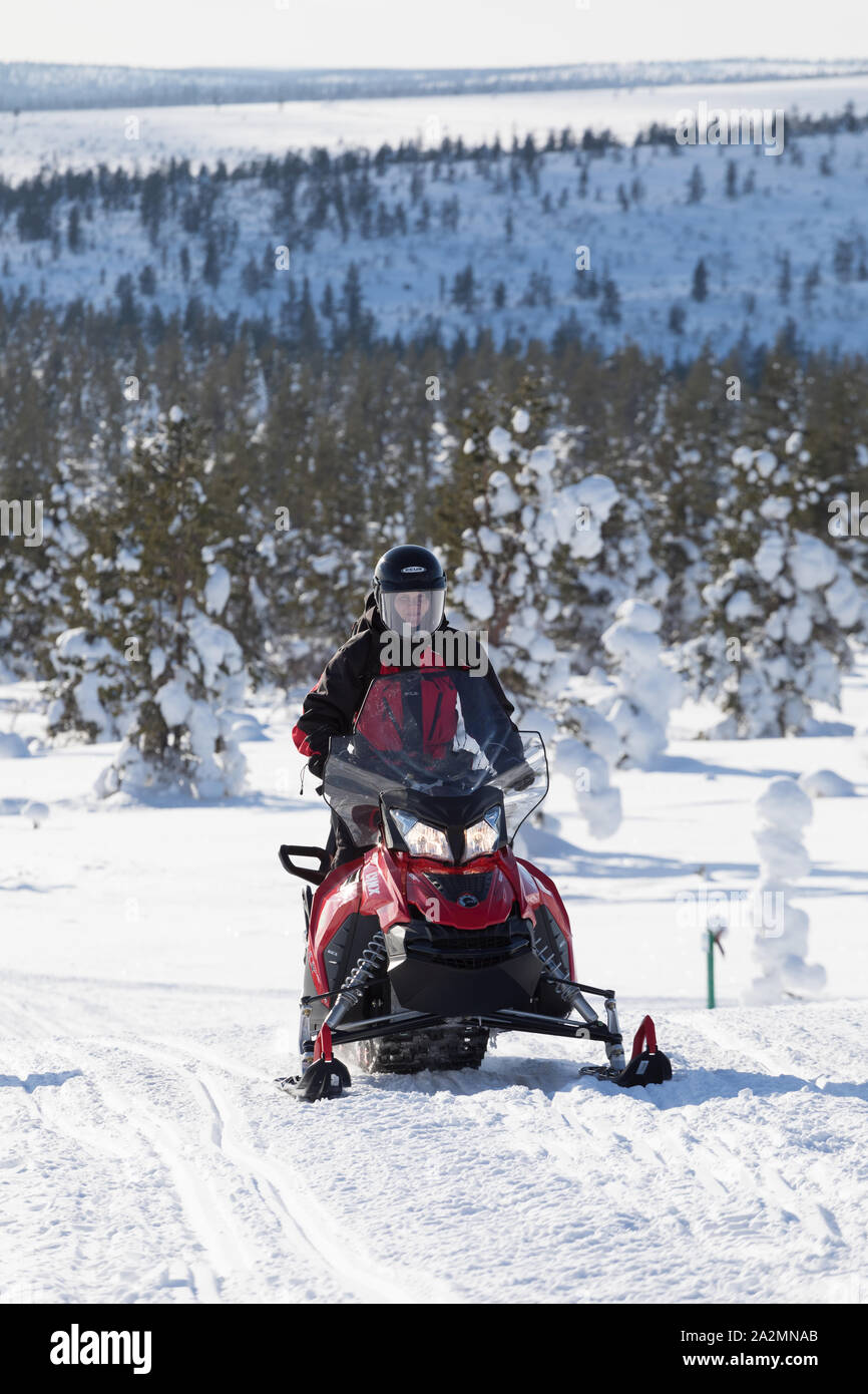 Woman driving snowmobile in the middle of forest of crown snow-load ...