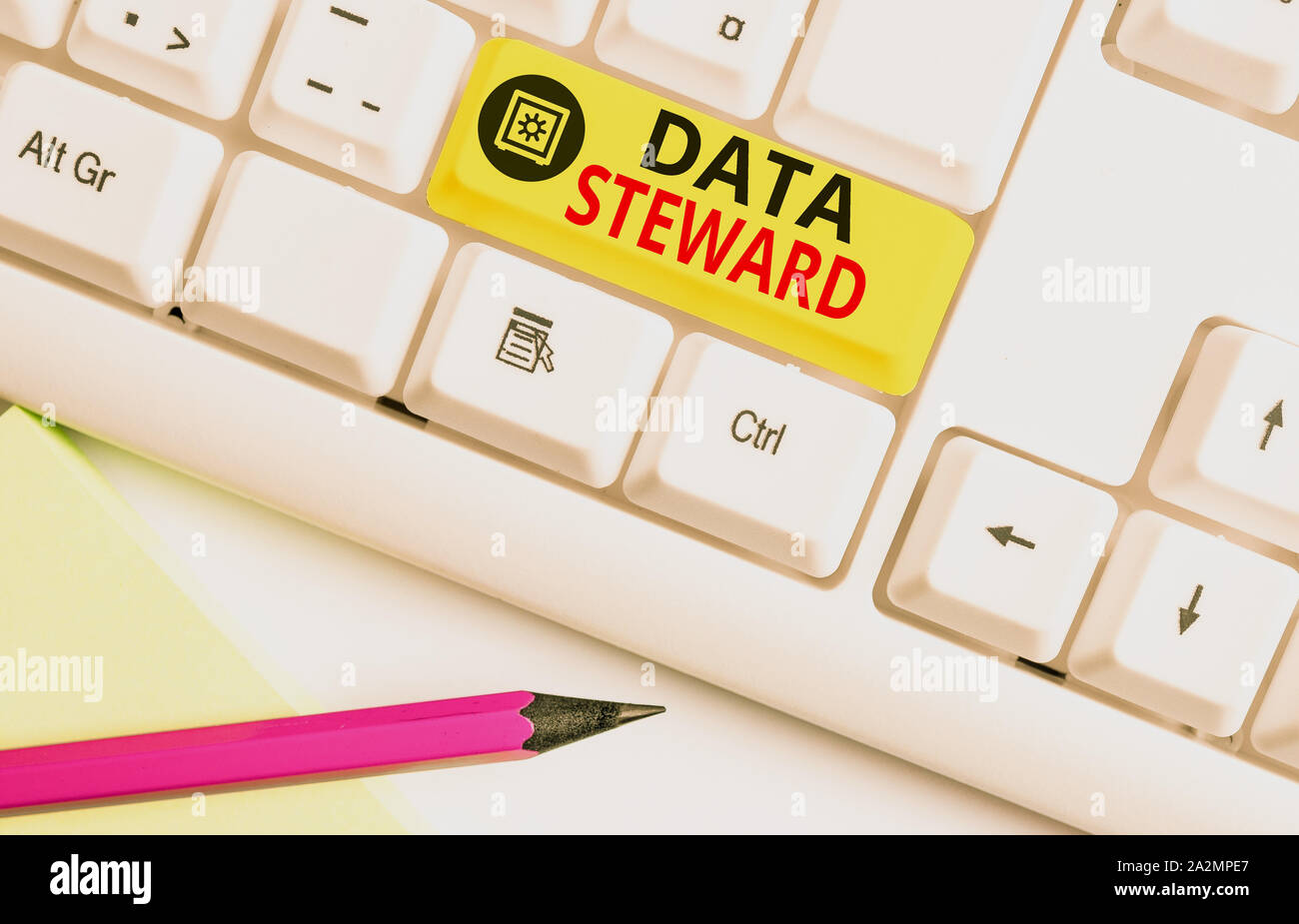 Text sign showing Data Steward. Business photo text responsible for ...