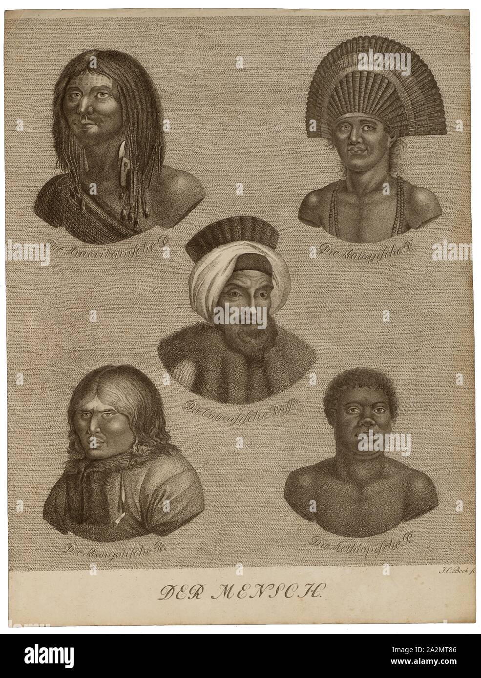 Carl linnaeus hi-res stock photography and images - Alamy