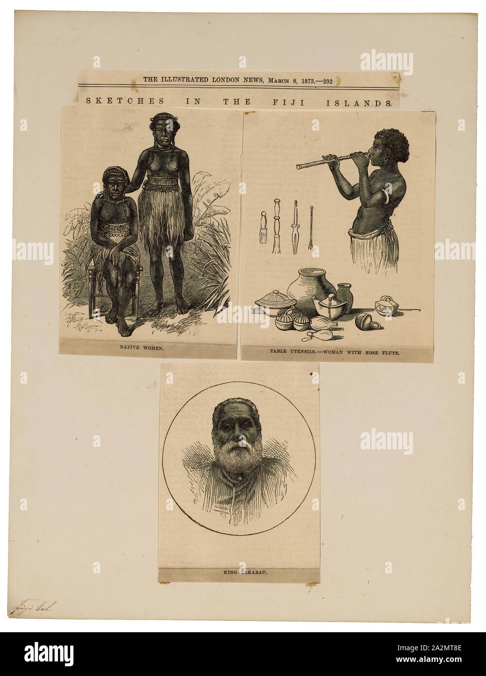 Homo sapiens, Print, Homo sapiens is the only extant human species. The ...