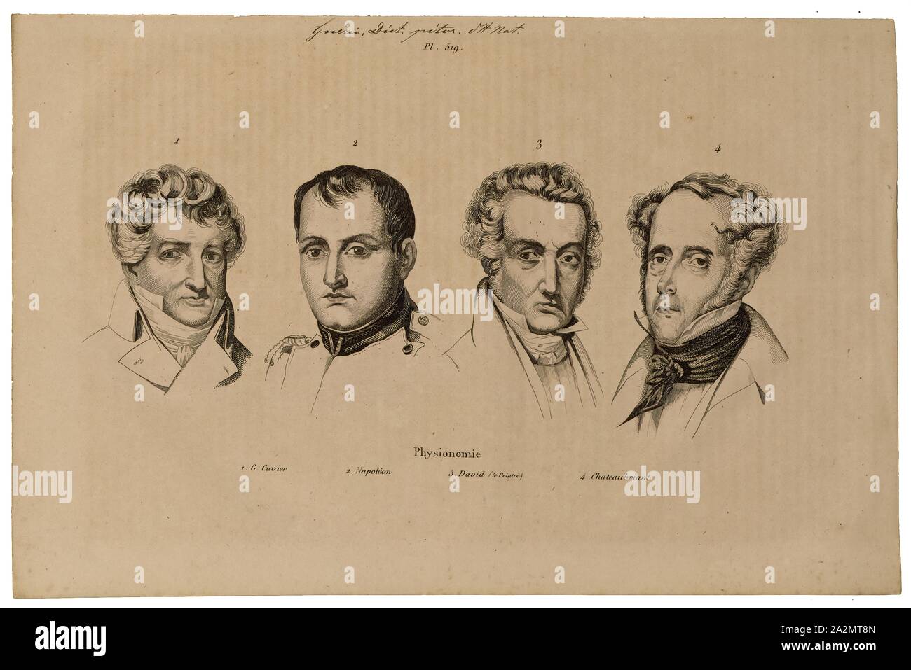 Homo sapiens, Print, Homo sapiens is the only extant human species. The ...