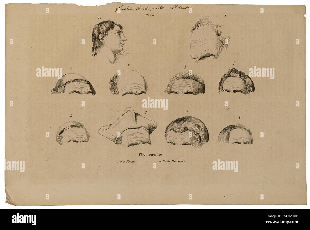 Homo sapiens, Print, Homo sapiens is the only extant human species. The ...