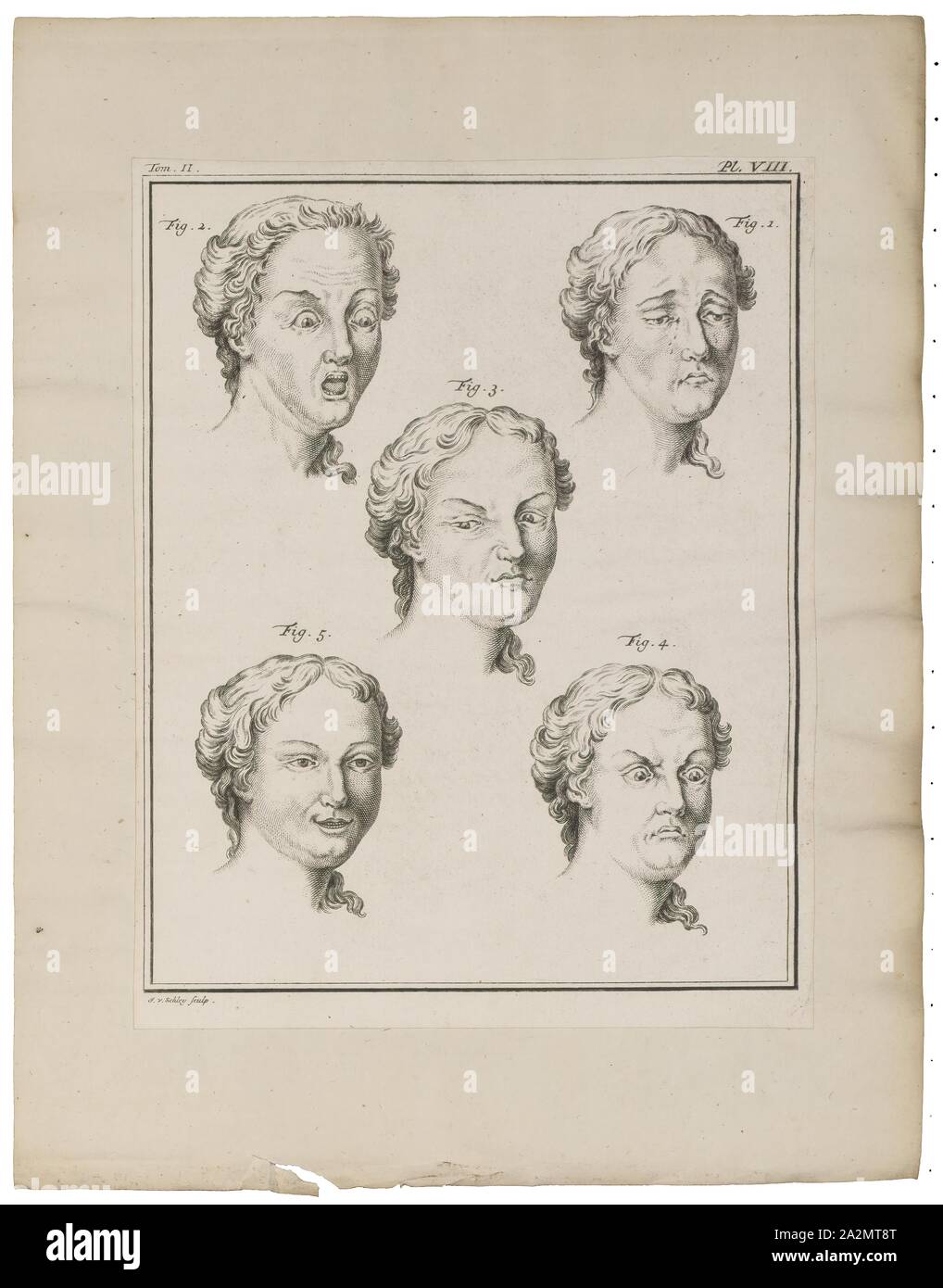 Homo sapiens, Print, Homo sapiens is the only extant human species. The ...