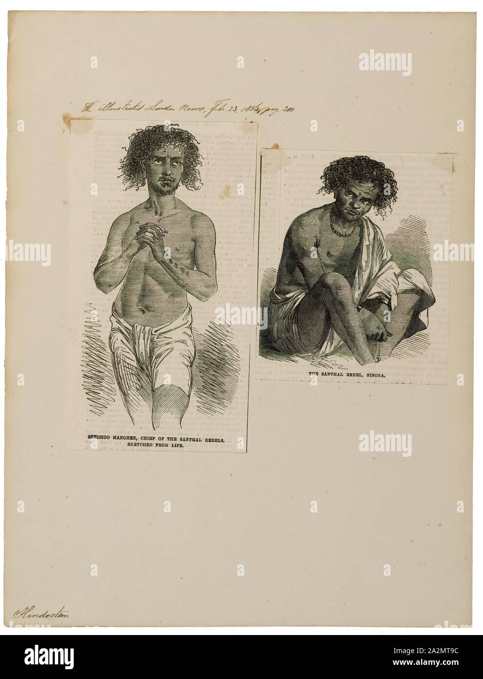 Homo sapiens, Print, Homo sapiens is the only extant human species. The ...