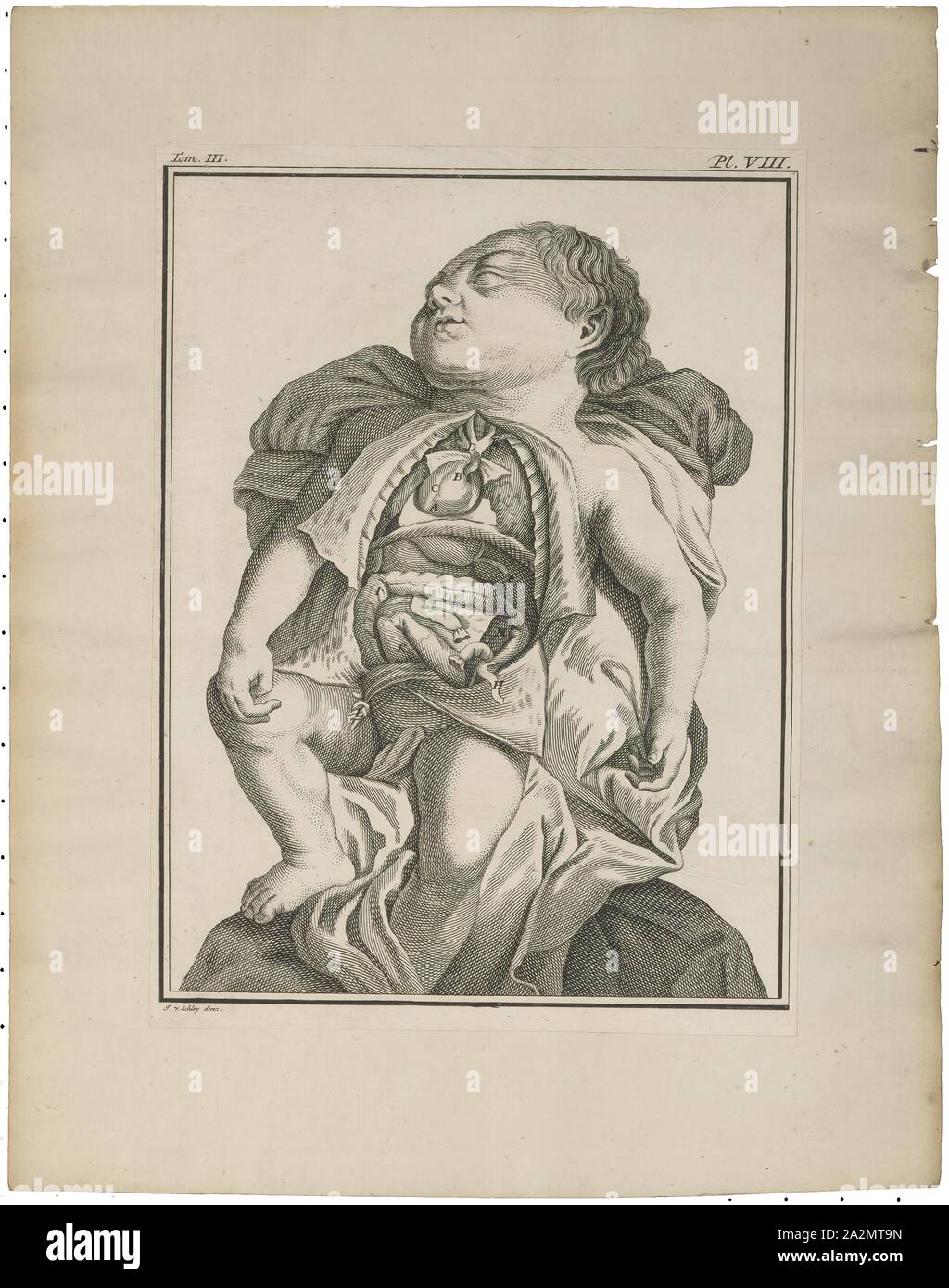 Homo sapiens, Print, Homo sapiens is the only extant human species. The ...