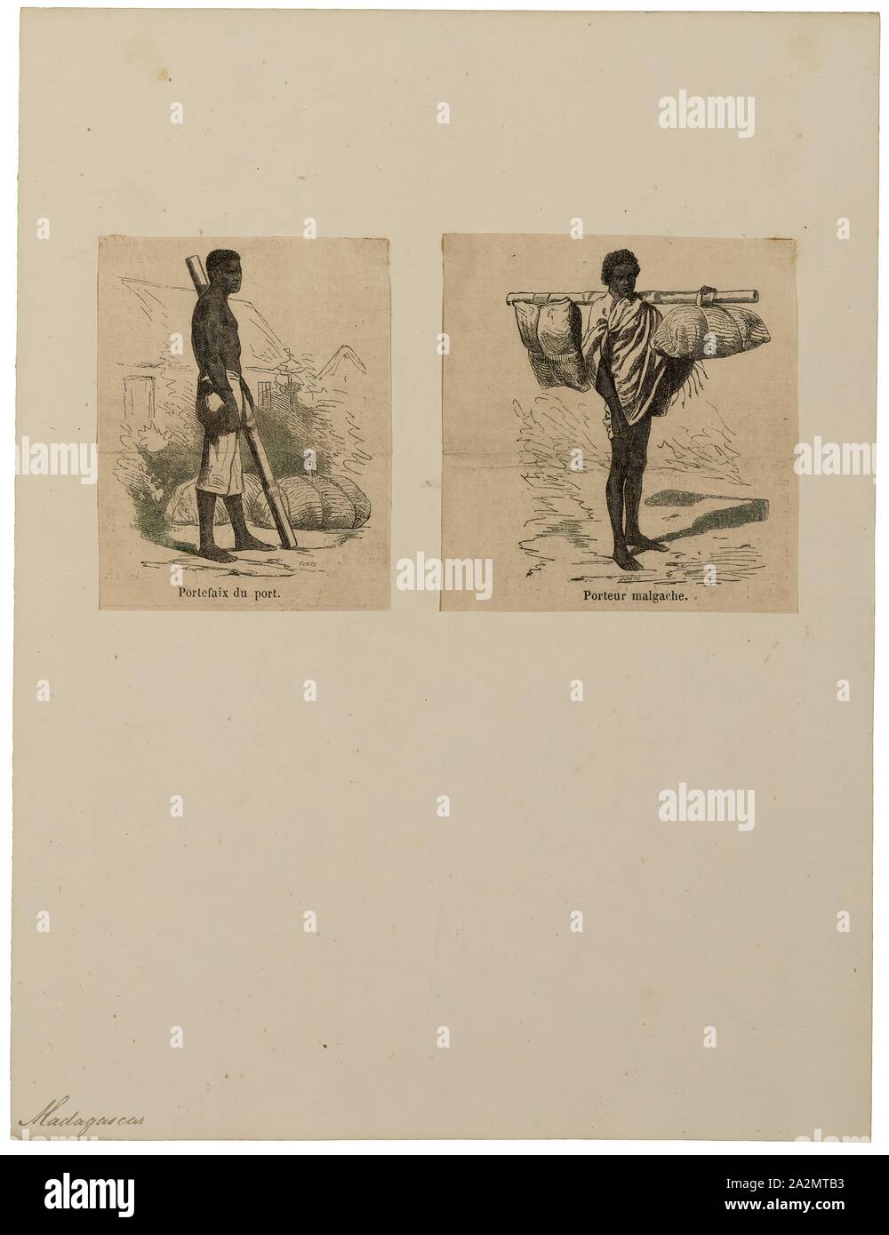 Homo sapiens, Print, Homo sapiens is the only extant human species. The ...