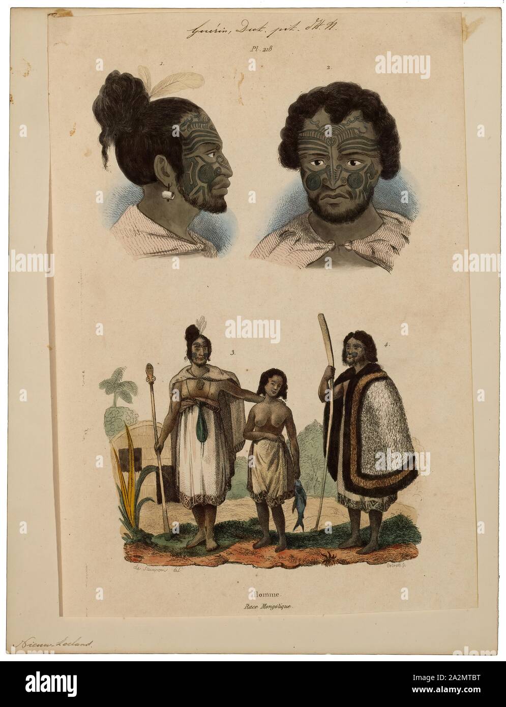 Homo sapiens, Print, Homo sapiens is the only extant human species. The ...