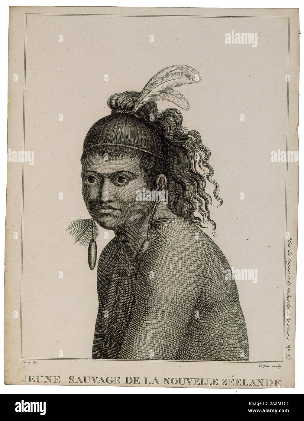 Homo sapiens, Print, Homo sapiens is the only extant human species. The ...