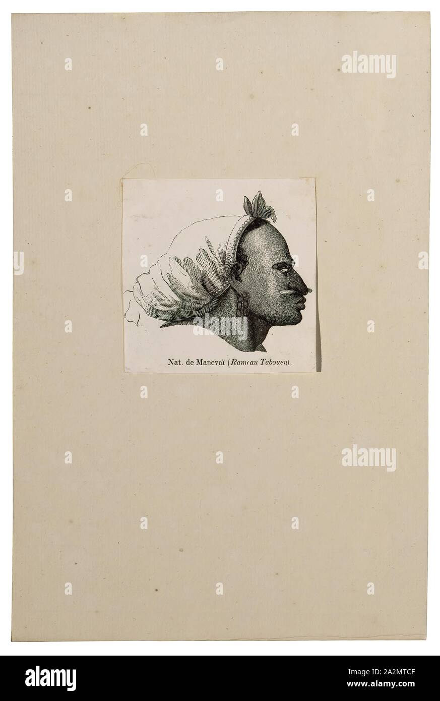 Homo sapiens, Print, Homo sapiens is the only extant human species. The ...