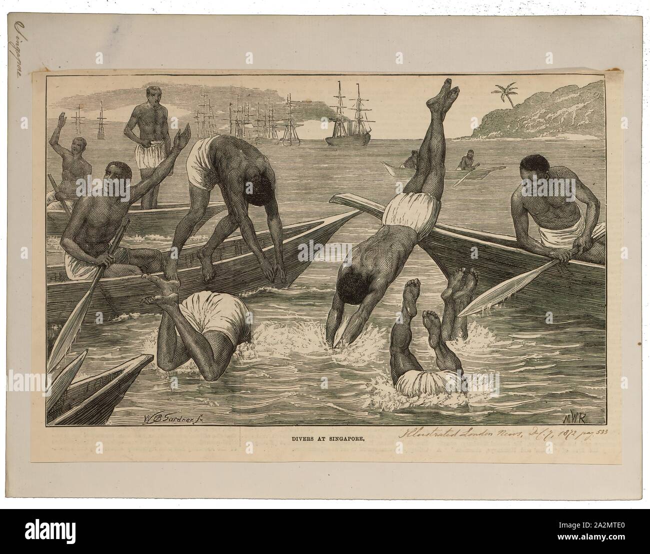 Homo sapiens, Print, Homo sapiens is the only extant human species. The ...