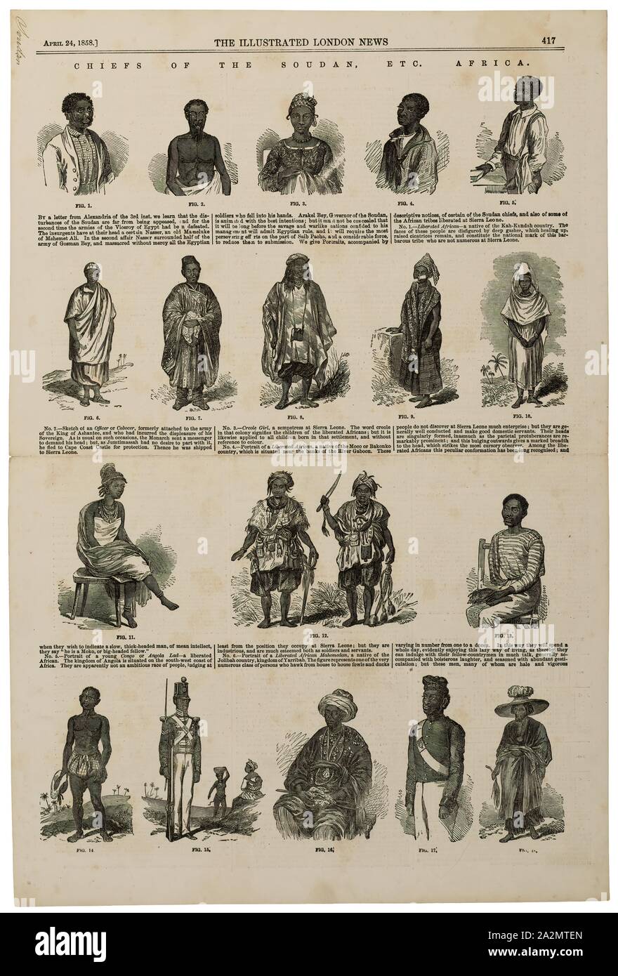 Homo sapiens, Print, Homo sapiens is the only extant human species. The ...