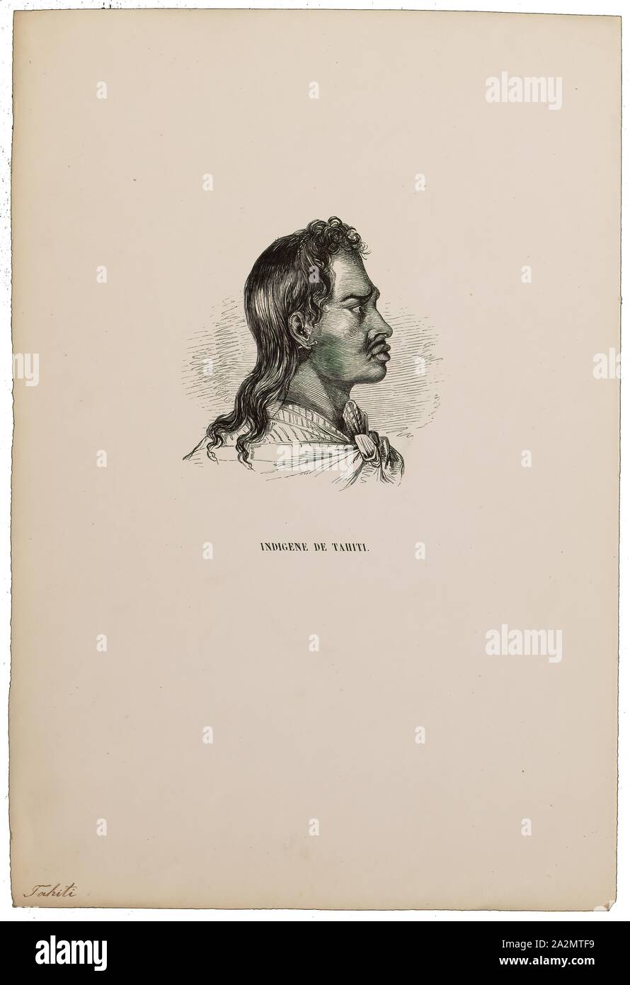 Homo sapiens, Print, Homo sapiens is the only extant human species. The ...