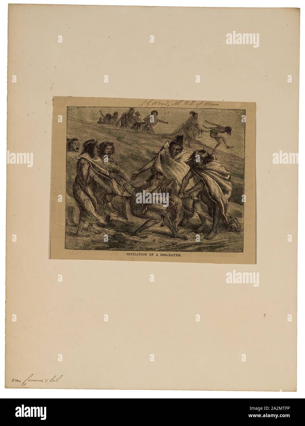 Homo sapiens, Print, Homo sapiens is the only extant human species. The ...