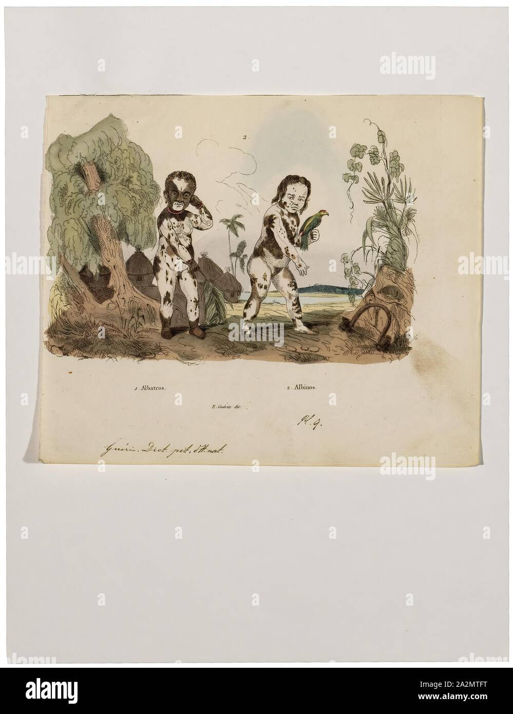 Homo sapiens, Print, Homo sapiens is the only extant human species. The ...