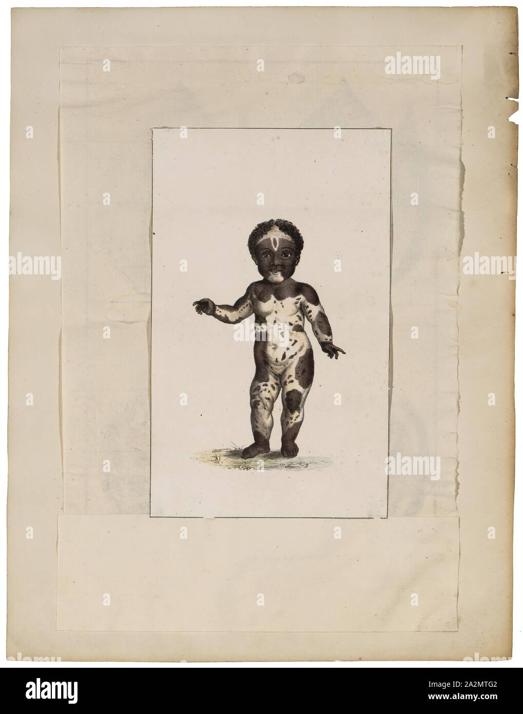 Homo sapiens, Print, Homo sapiens is the only extant human species. The ...