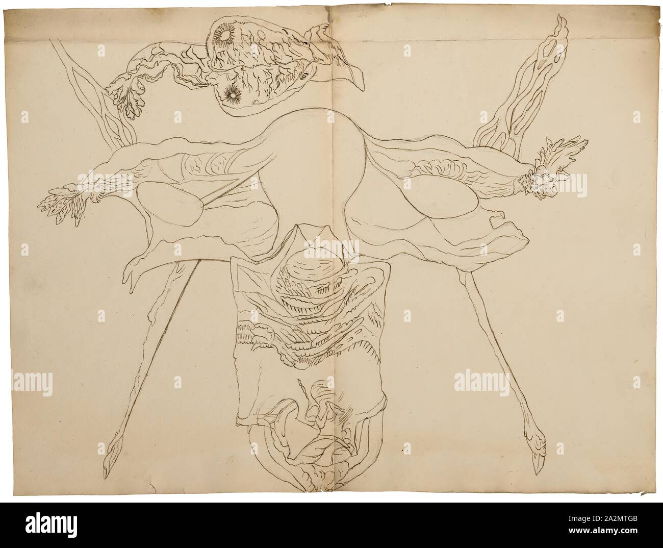 Homo sapiens, Print, Homo sapiens is the only extant human species. The ...