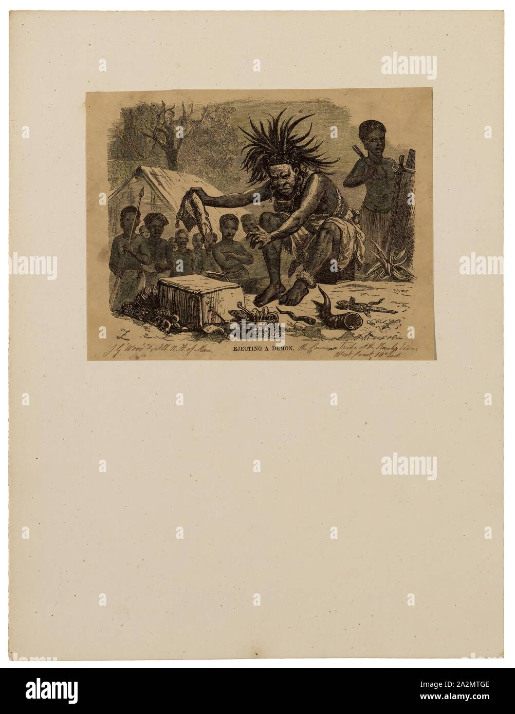 Homo sapiens, Print, Homo sapiens is the only extant human species. The ...