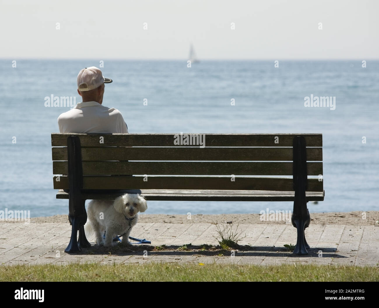 Life style, single, older, old Stock Photo - Alamy