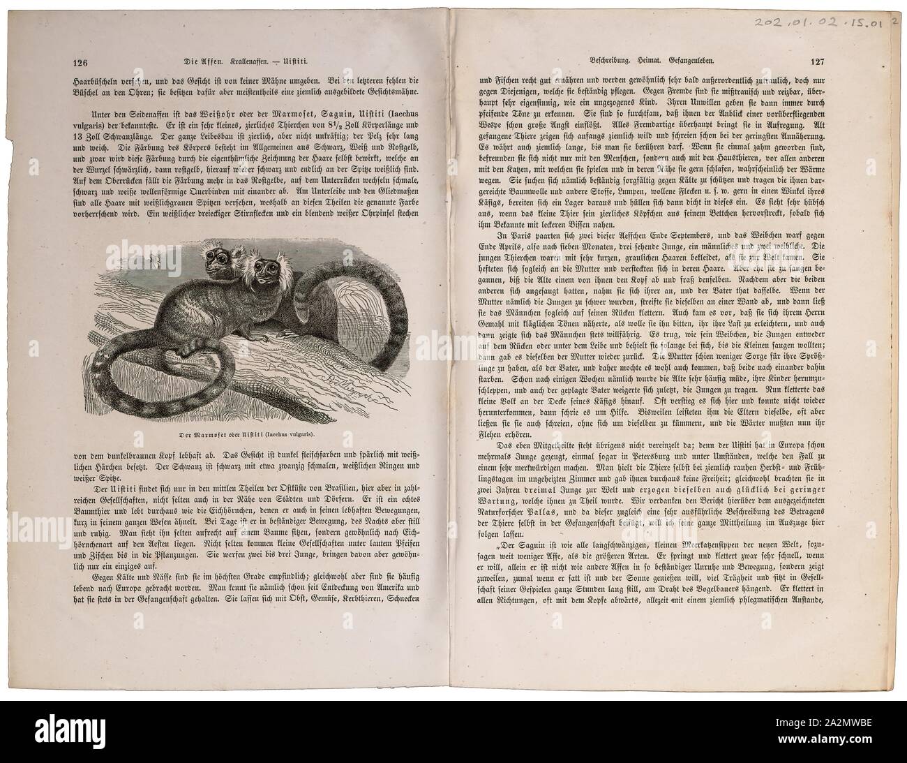 Iacchus hi-res stock photography and images - Alamy