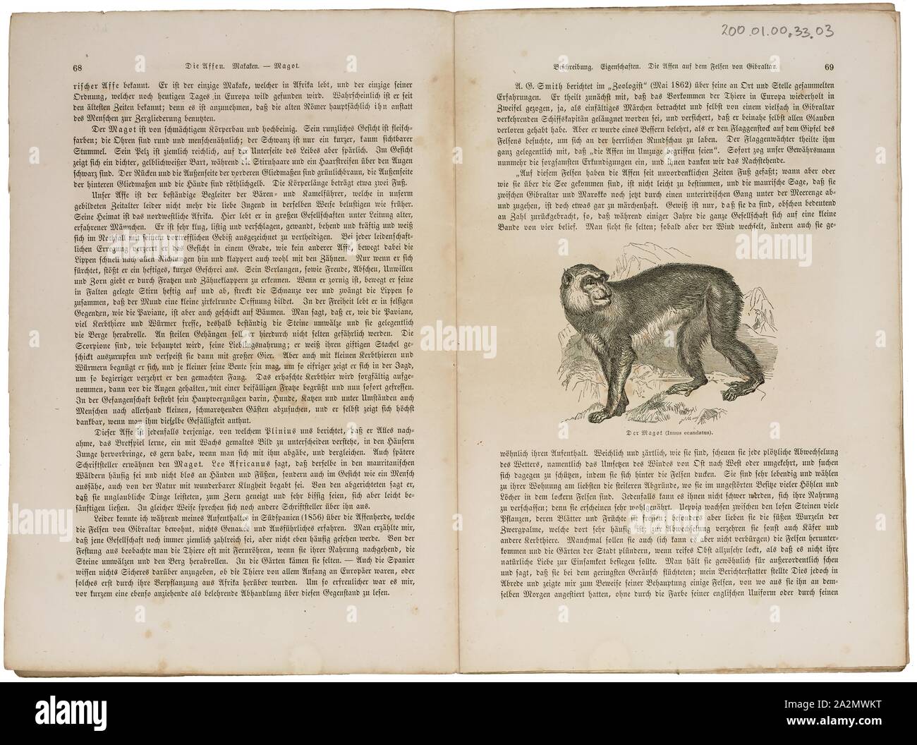 Inuus hi-res stock photography and images - Alamy