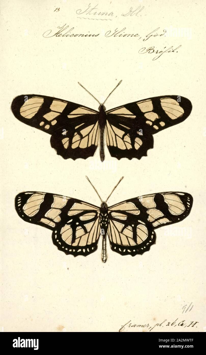 Ituna hi-res stock photography and images - Alamy