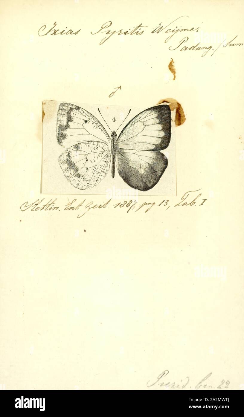 Indomalaya peninsula hi-res stock photography and images - Alamy