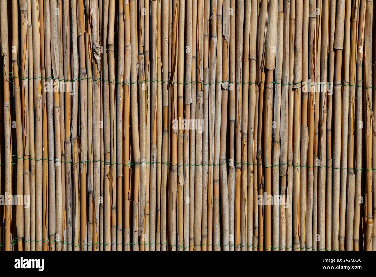 Fence of bamboo sticks fastened with wire Stock Photo - Alamy