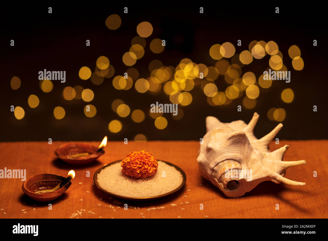 Conch shell india hi-res stock photography and images - Alamy