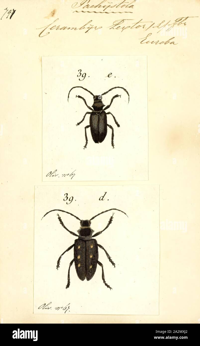 Lamia hi-res stock photography and images - Alamy